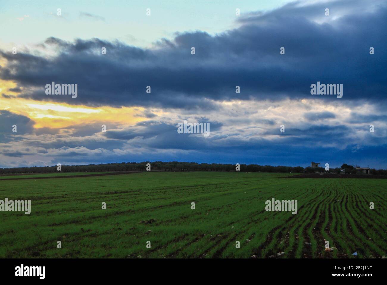 Captured in daily life hi-res stock photography and images - Alamy