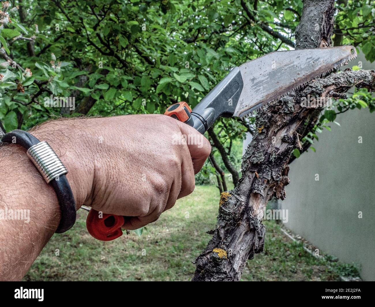 Sawing tree limb hi-res stock photography and images - Alamy