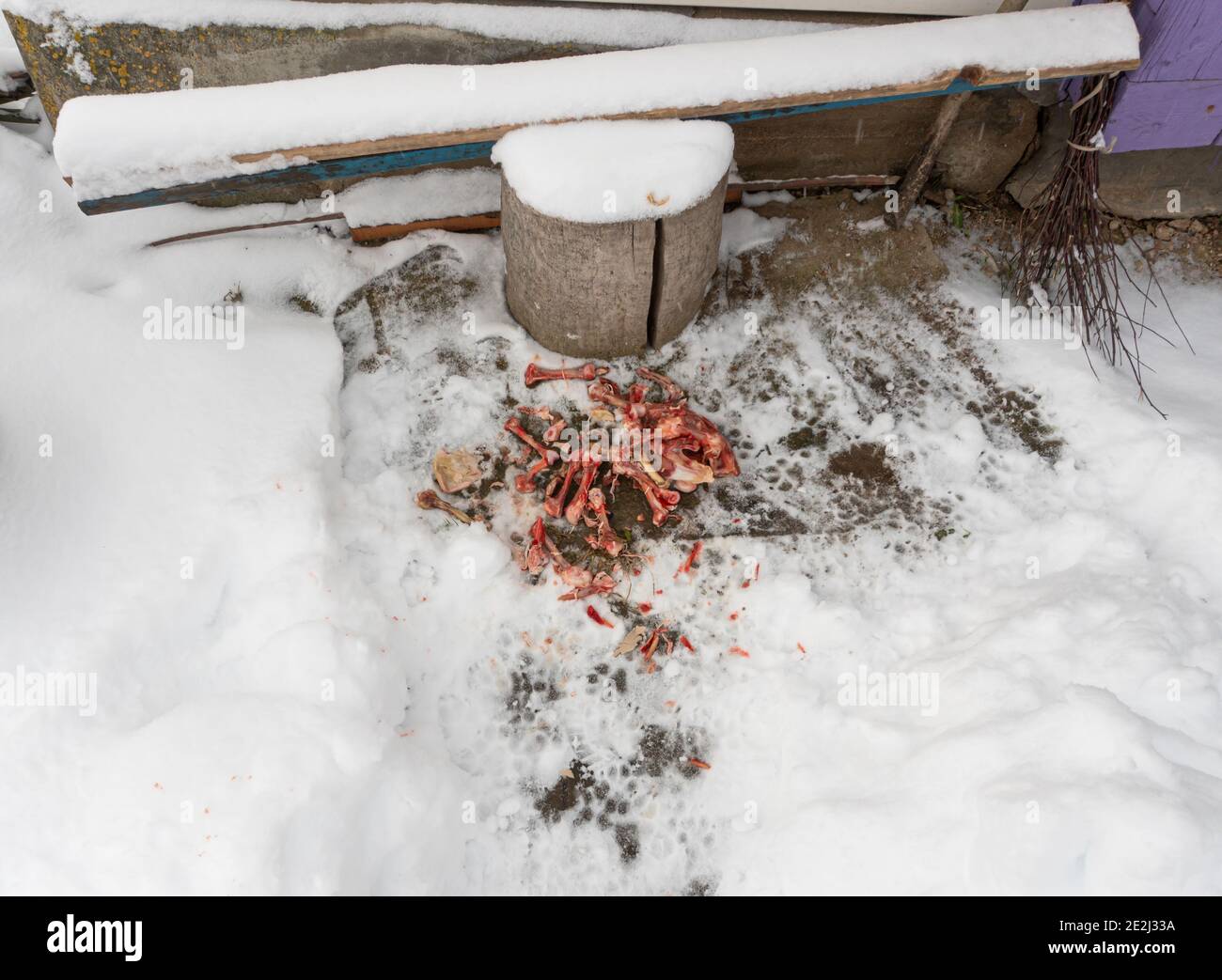 Bloody carnivore red meat hi-res stock photography and images - Alamy
