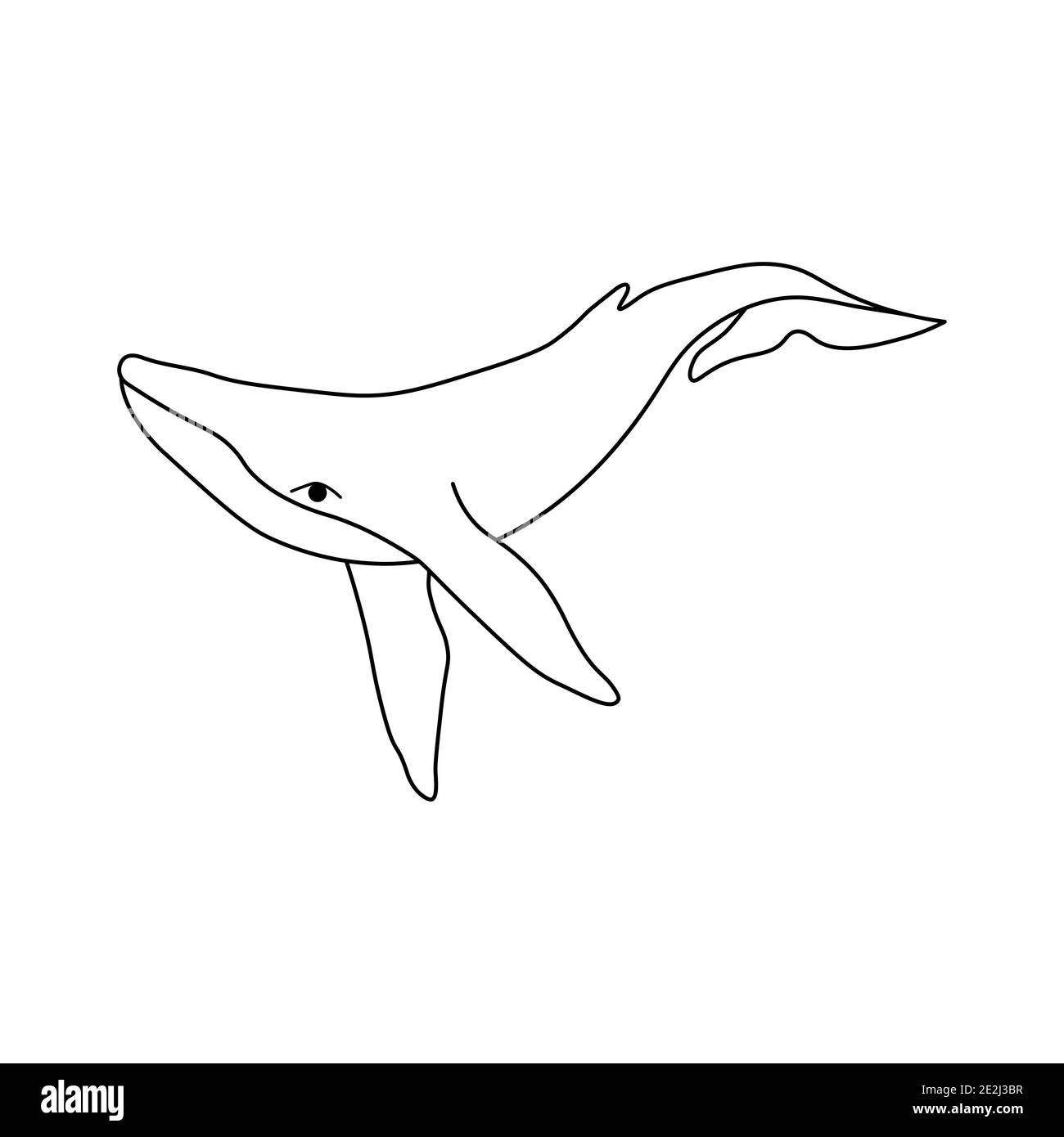 Humpback whale icon or logo outline vector illustration on white ...