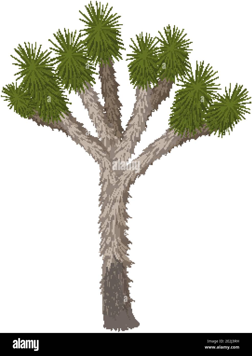 The joshua tree Cut Out Stock Images & Pictures - Alamy