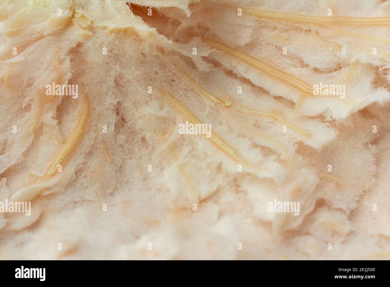 Macro photo of inner pomelo peel, rind. Copy space fruit background ...