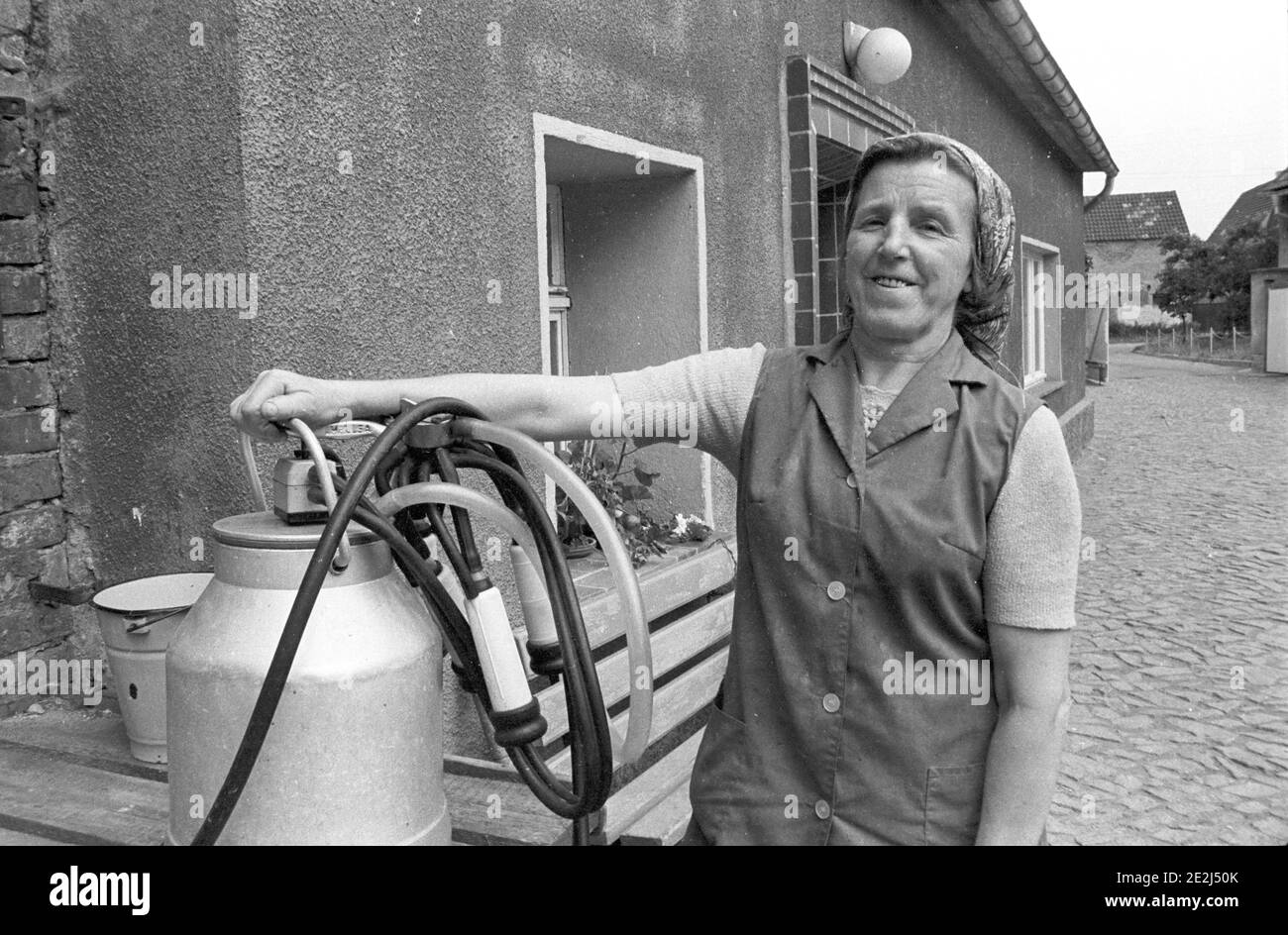 Milking bank Black and White Stock Photos & Images - Alamy