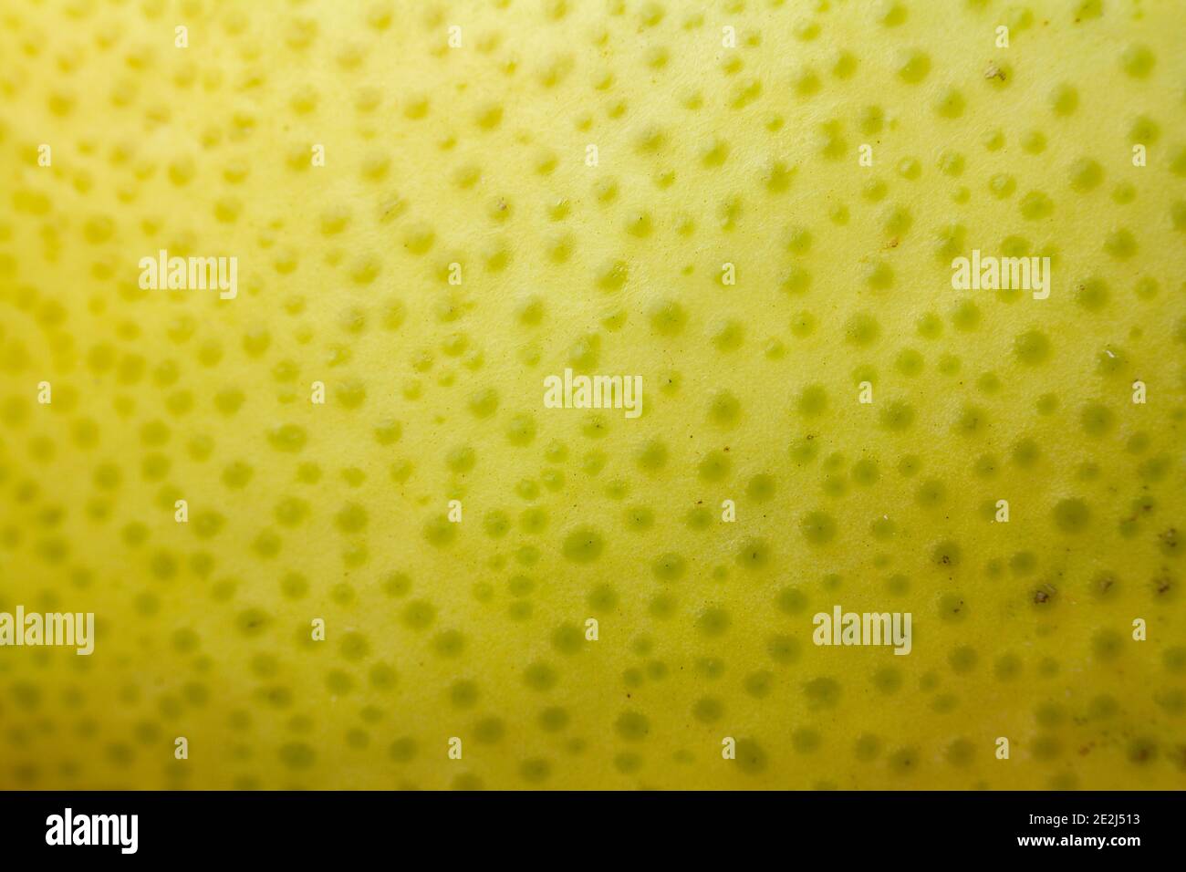 Macro photo of outer pomelo peel, rind. Copy space fruit background ...