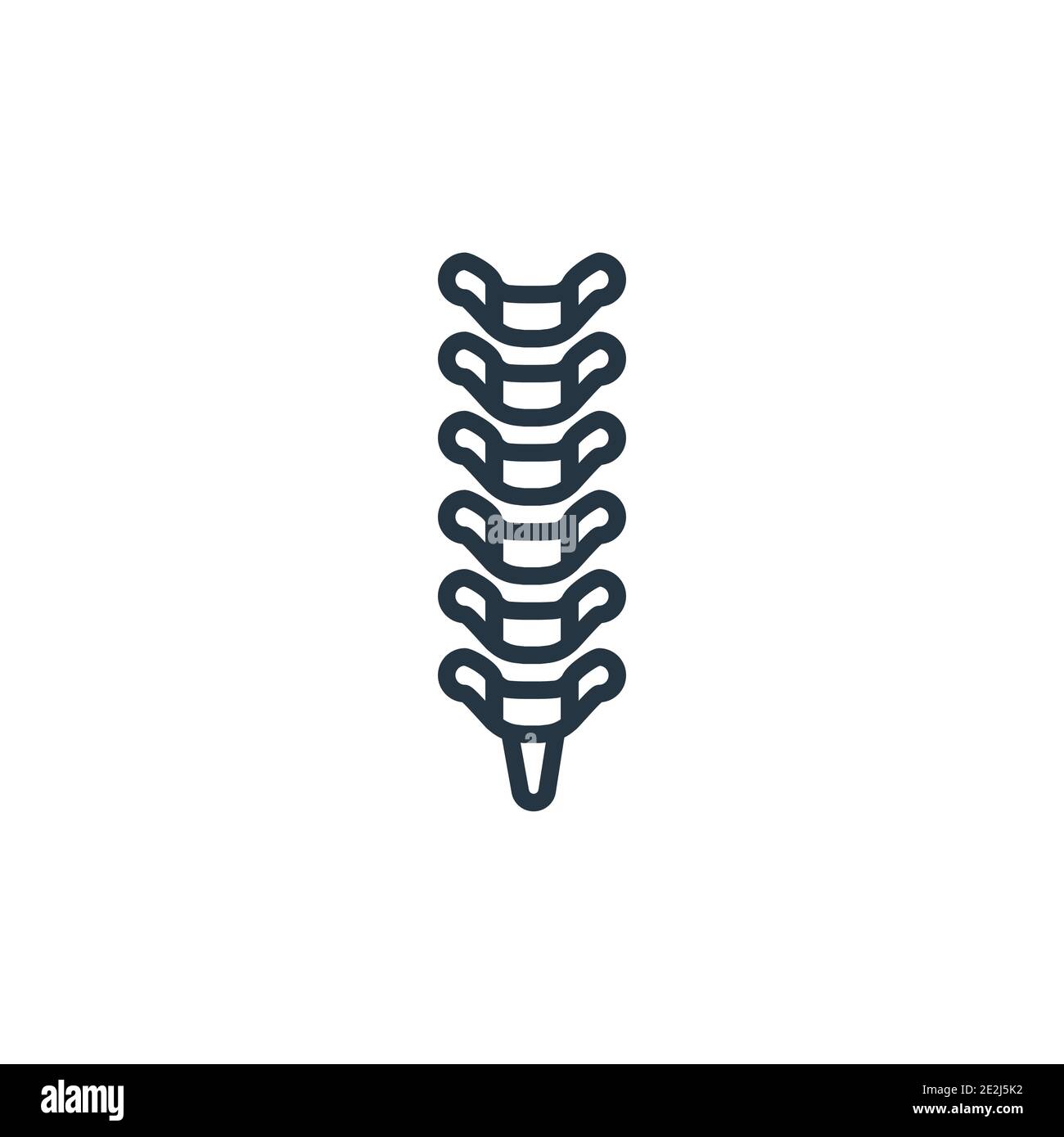 Spinal column outline vector icon. Thin line black spinal column icon ...
