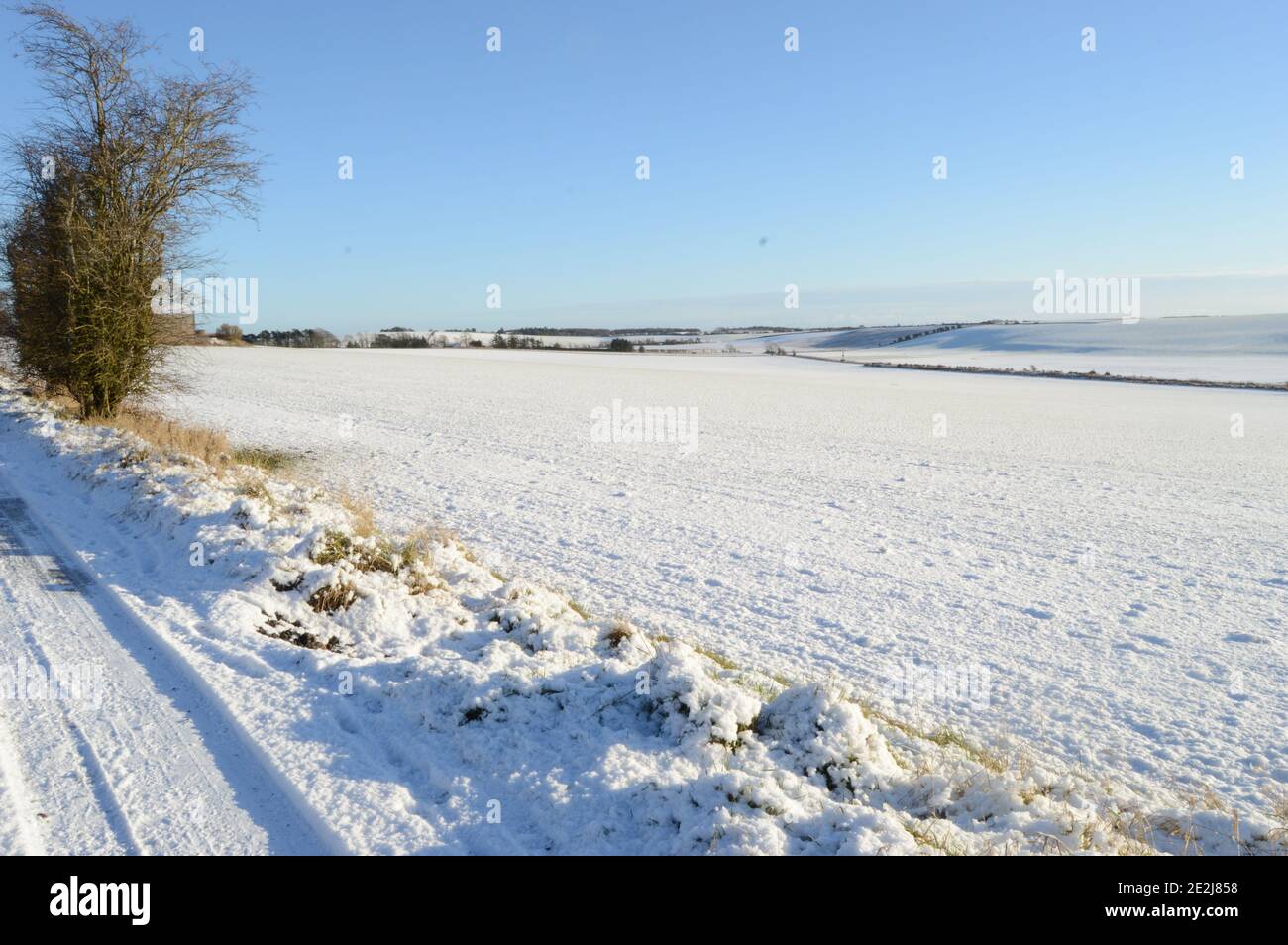 Snow covers fields surrounding St Andrews, Scotland,, 8 January 2021 ...