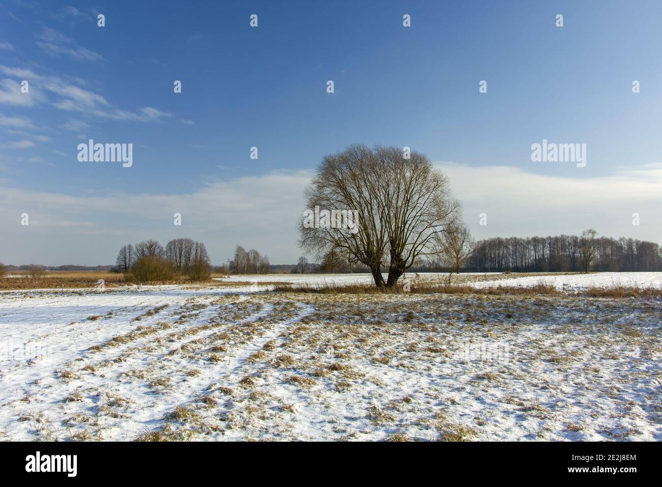 Empty Meadow With Snow High Resolution Stock Photography and Images - Alamy