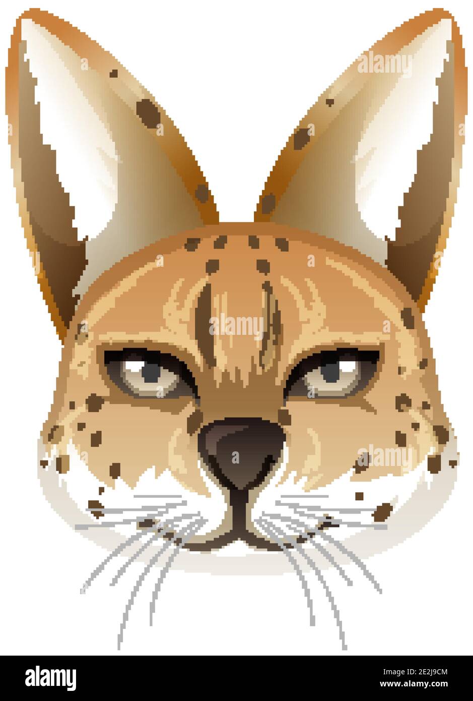Serval animal isolated on white background illustration Stock Vector ...