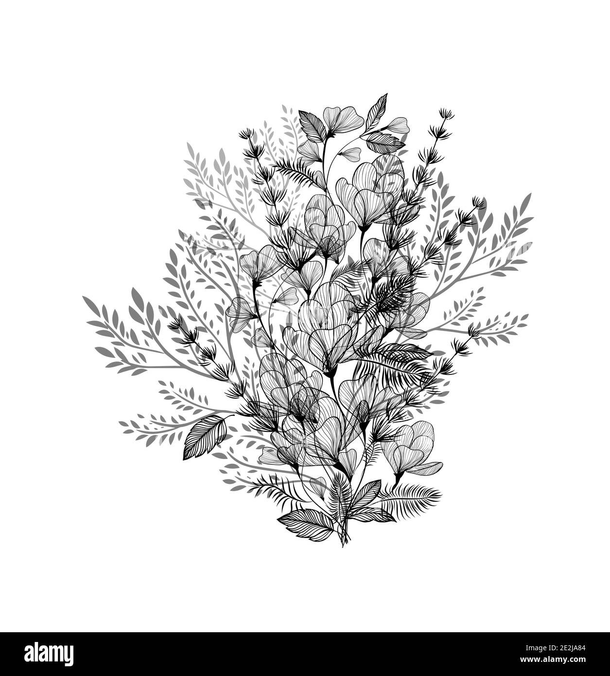 Monochrome floral abstraction. Graphic beautiful flower. Vector ...