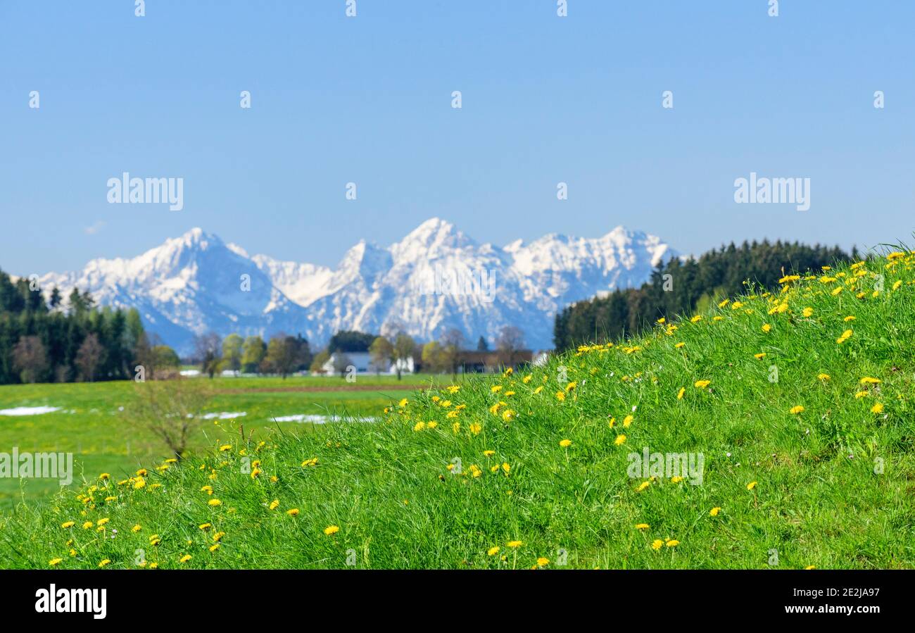 Bavaria nature hi-res stock photography and images - Alamy