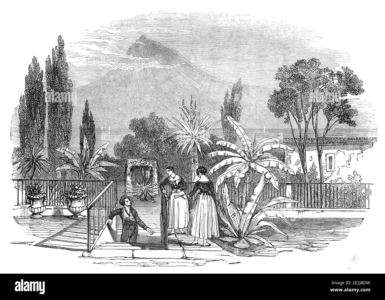 Garden in the Azores, 1845. Exotic plants on one of the volcanic ...