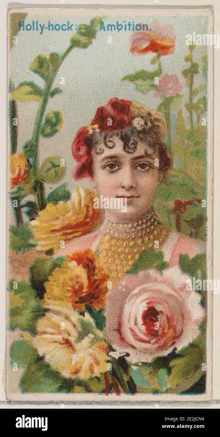 Hollyhock: Ambition, from the series Floral Beauties and Language of ...