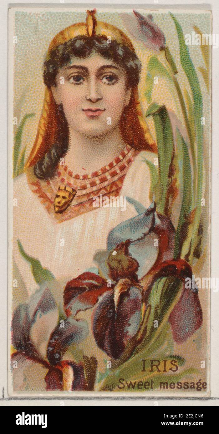 Iris: Sweet Message, from the series Floral Beauties and Language of ...