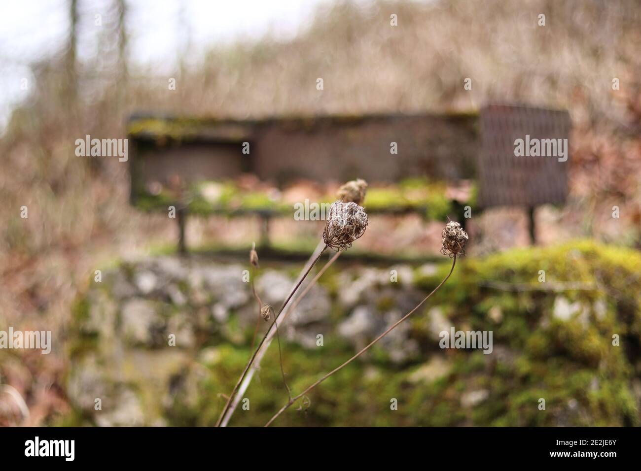 Front grill view hi-res stock photography and images - Alamy