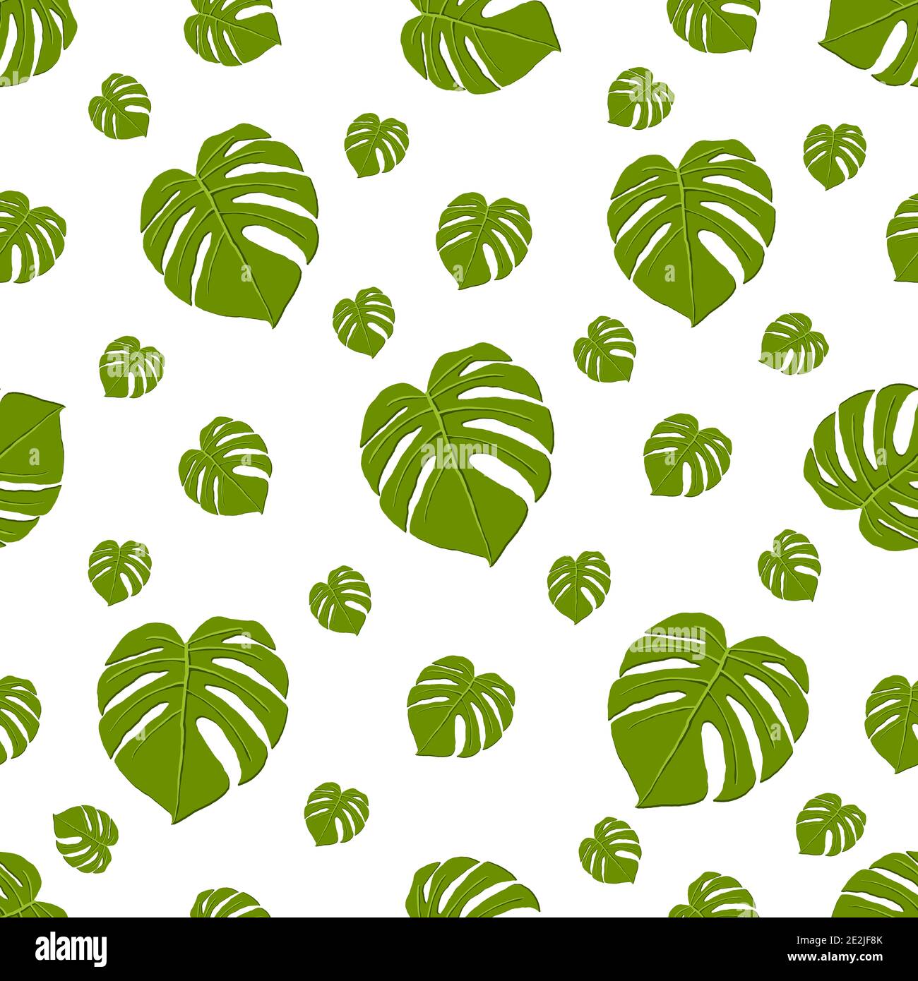 Hand drawn Monstera leaf Seamless pattern with tropical leaves Stock ...