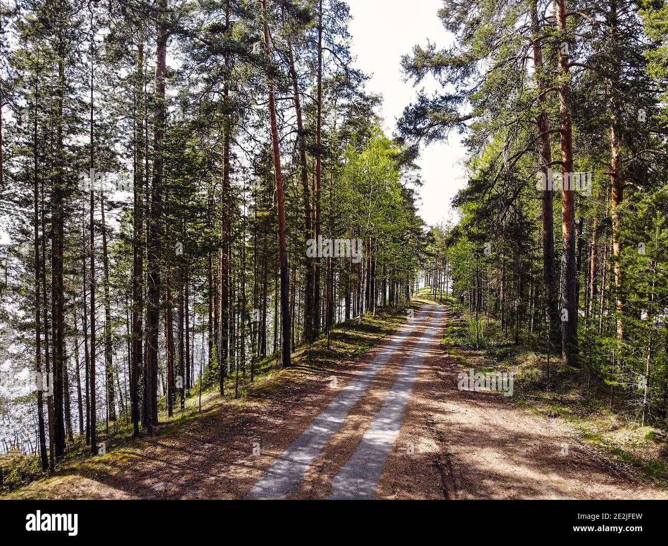 The finnish path to relaxation hi-res stock photography and images - Alamy
