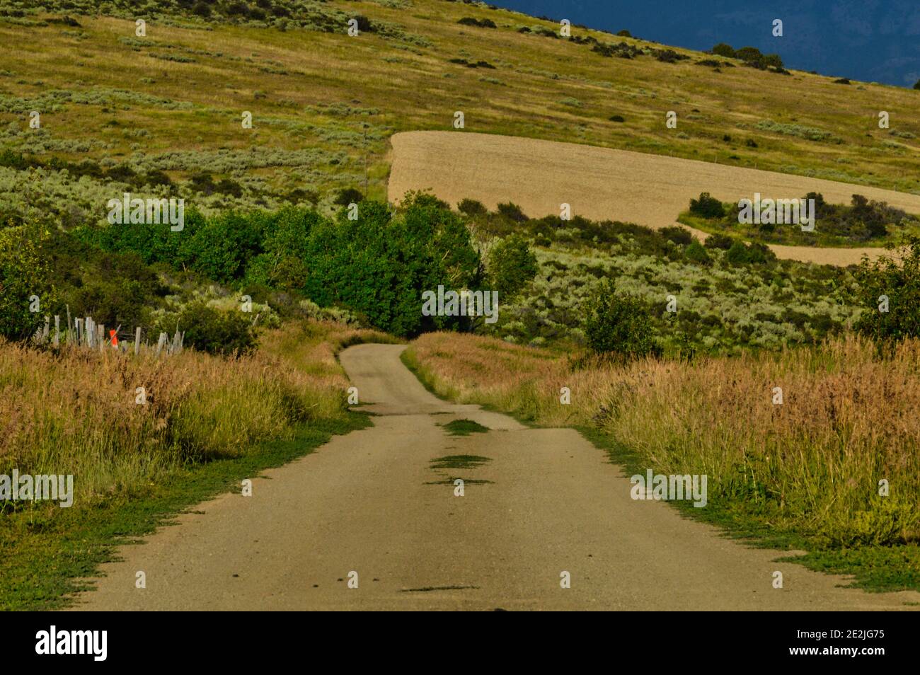 Path leading through green landscapes Stock Photo - Alamy