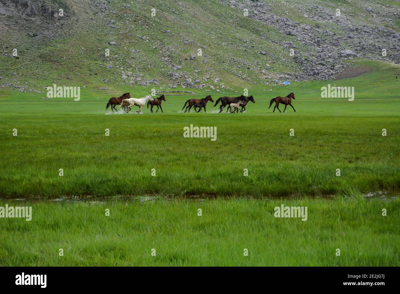 Highland areas hi-res stock photography and images - Alamy