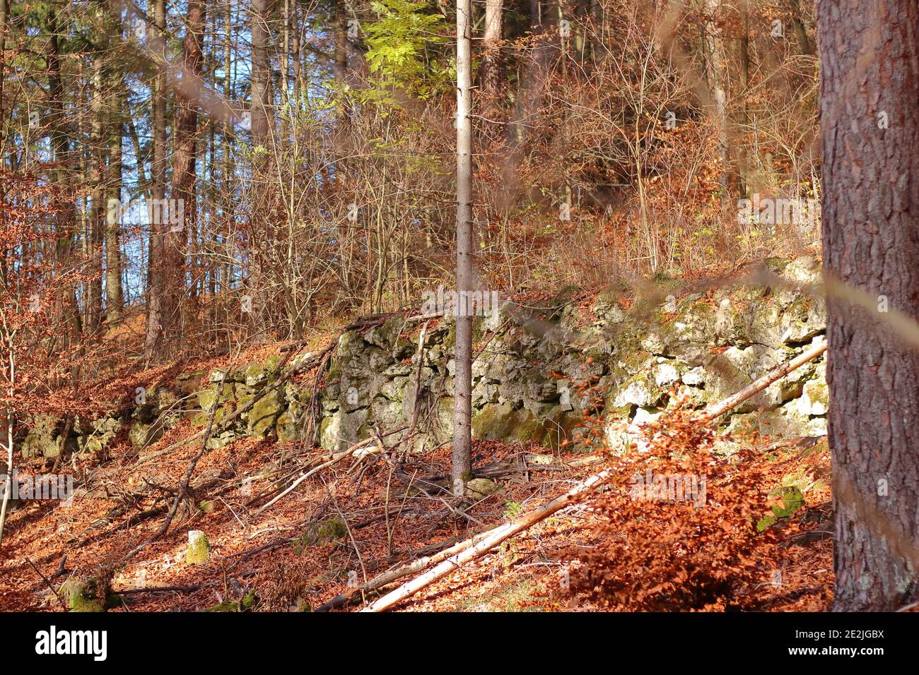 Stonewall In Forest High Resolution Stock Photography and Images - Alamy
