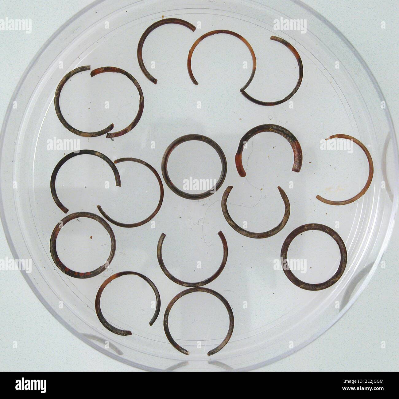 Rings and Ring Fragments, Coptic, 4th century Stock Photo - Alamy