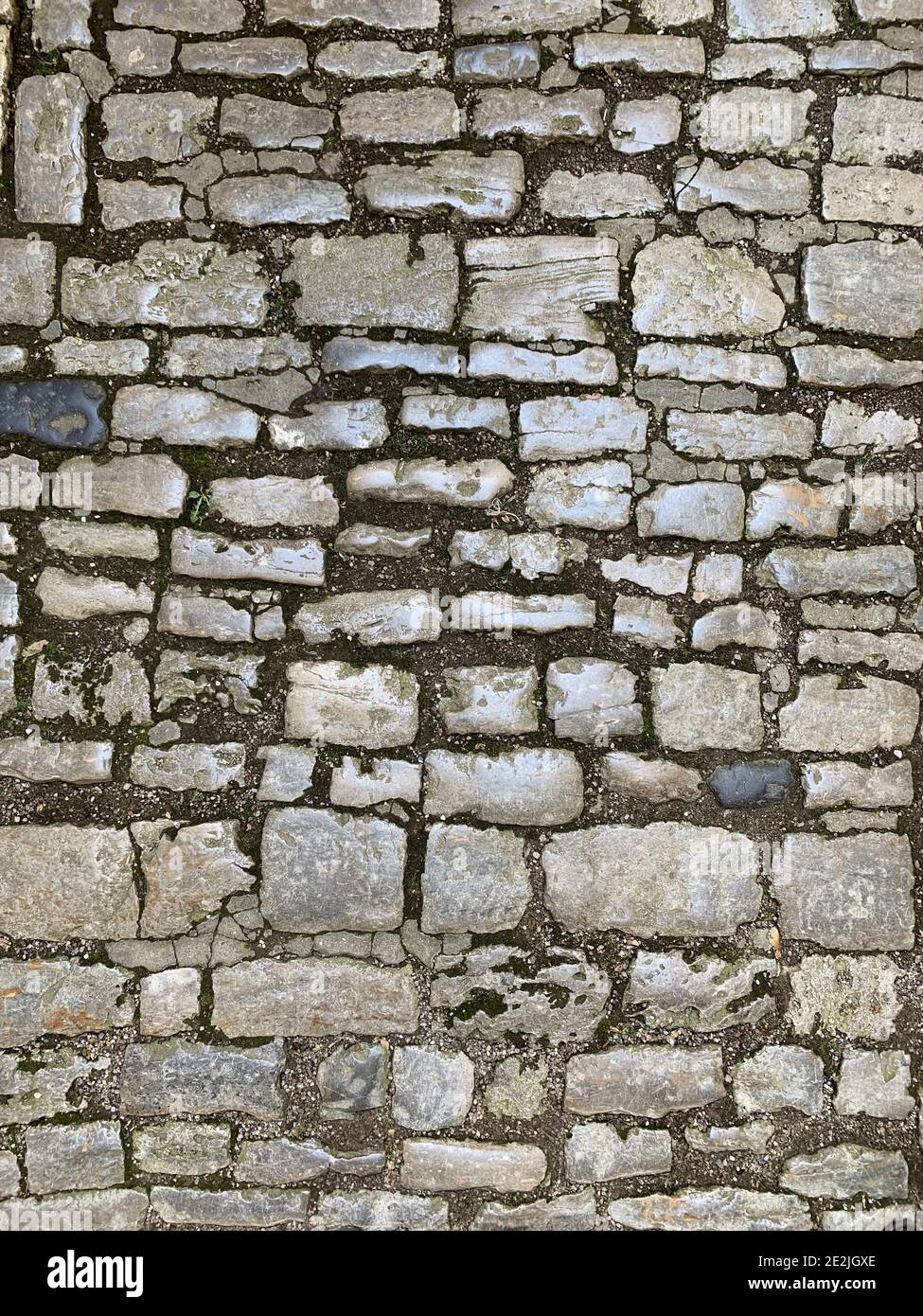 Closeup vertical shot of a street cobblestone texture background Stock ...