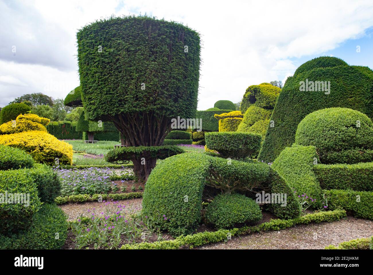 Unusual topiary shapes at Levens Hall and Garden, Cumbria, UK Stock ...