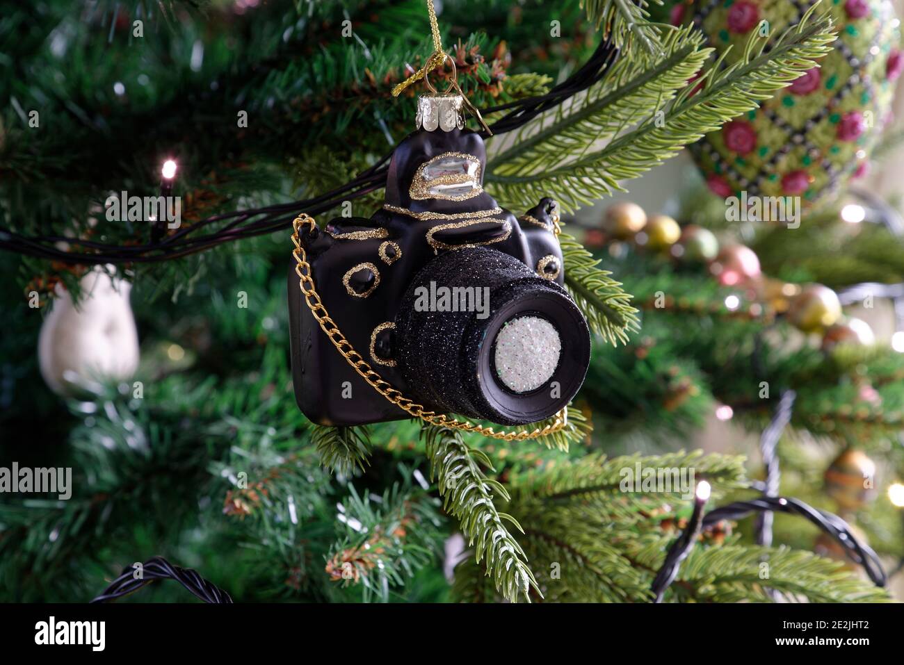 Camera on tree hi-res stock photography and images - Alamy