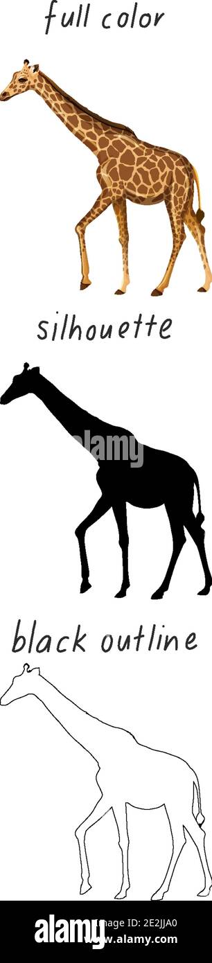 Set of giraffe in color, silhouette and black outline on white ...