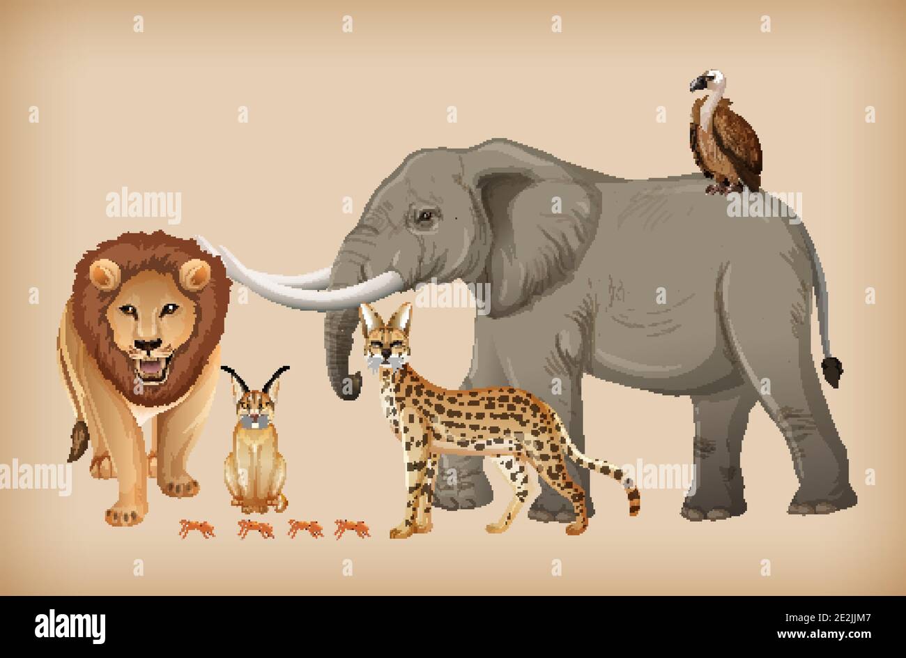 Group of wild animal on background illustration Stock Vector Image ...