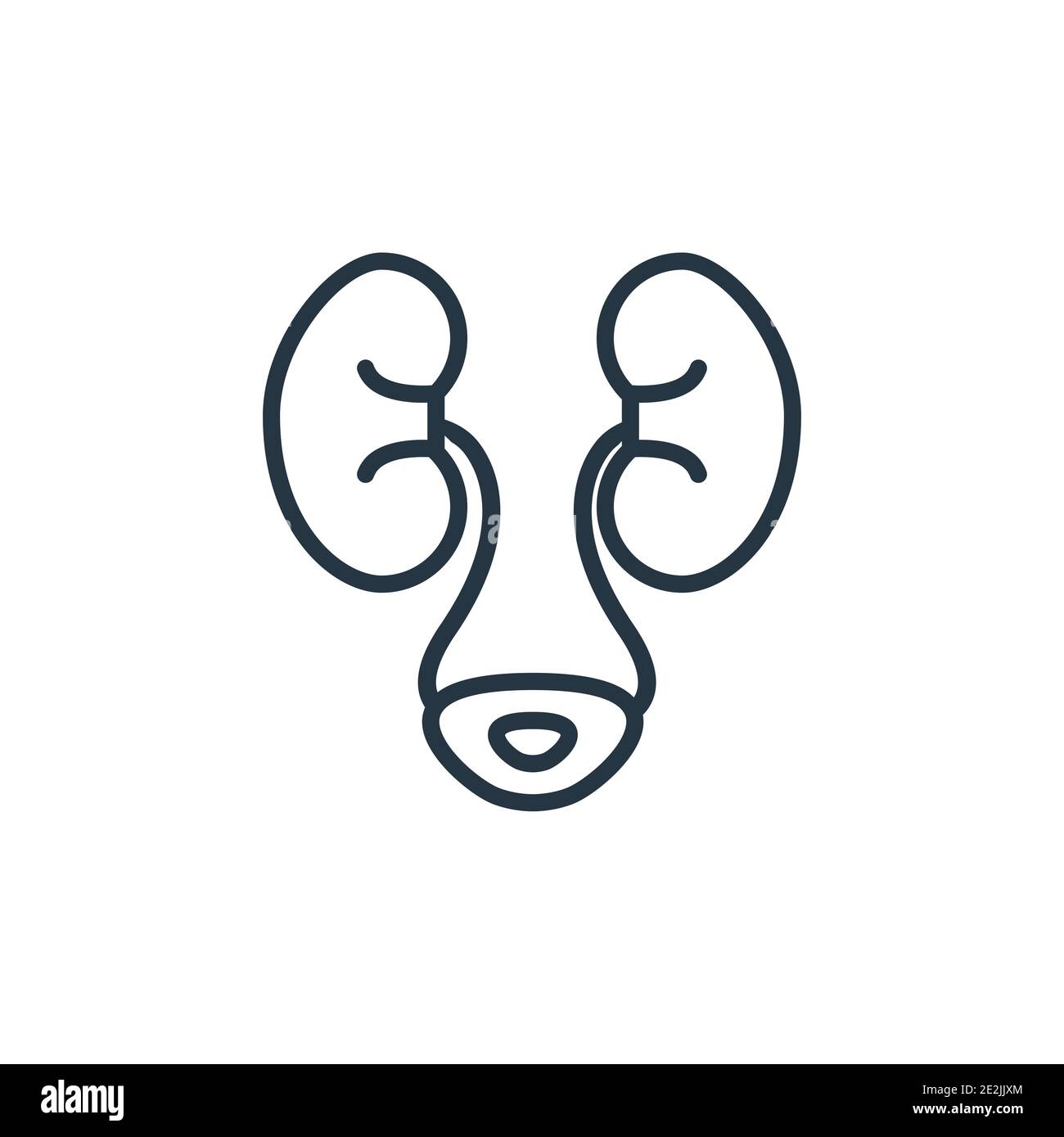 Urology outline vector icon. Thin line black urology icon, flat vector ...