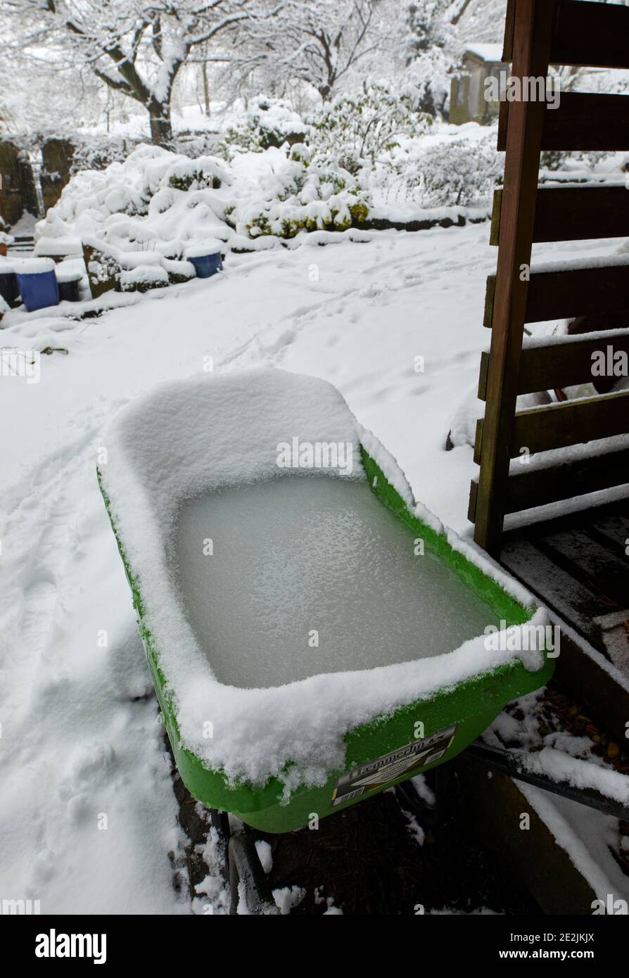 Ice and snow filled wheelbarrow after daylong snowfall on moorland ...