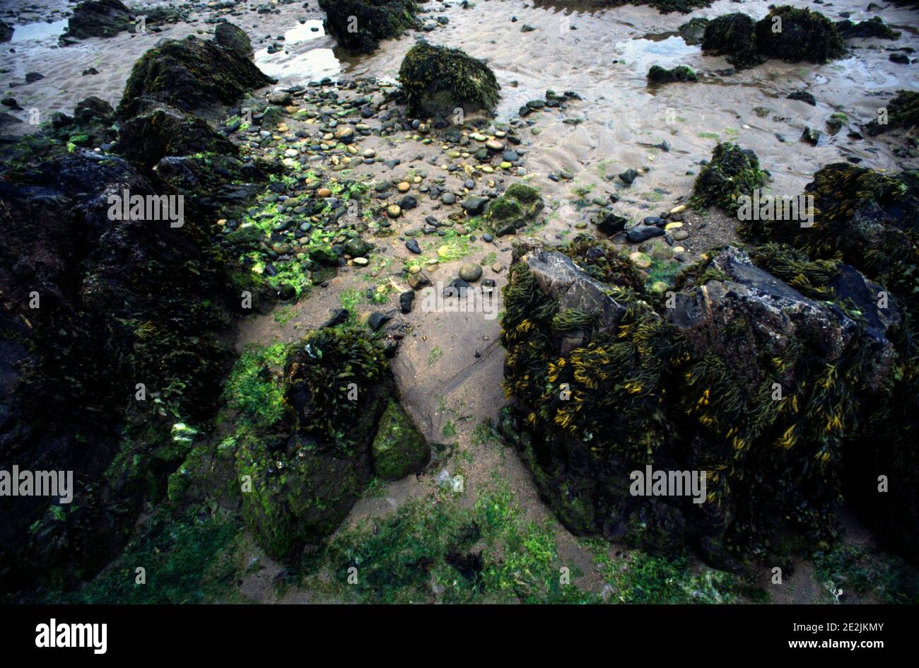Rock pools hi-res stock photography and images - Alamy