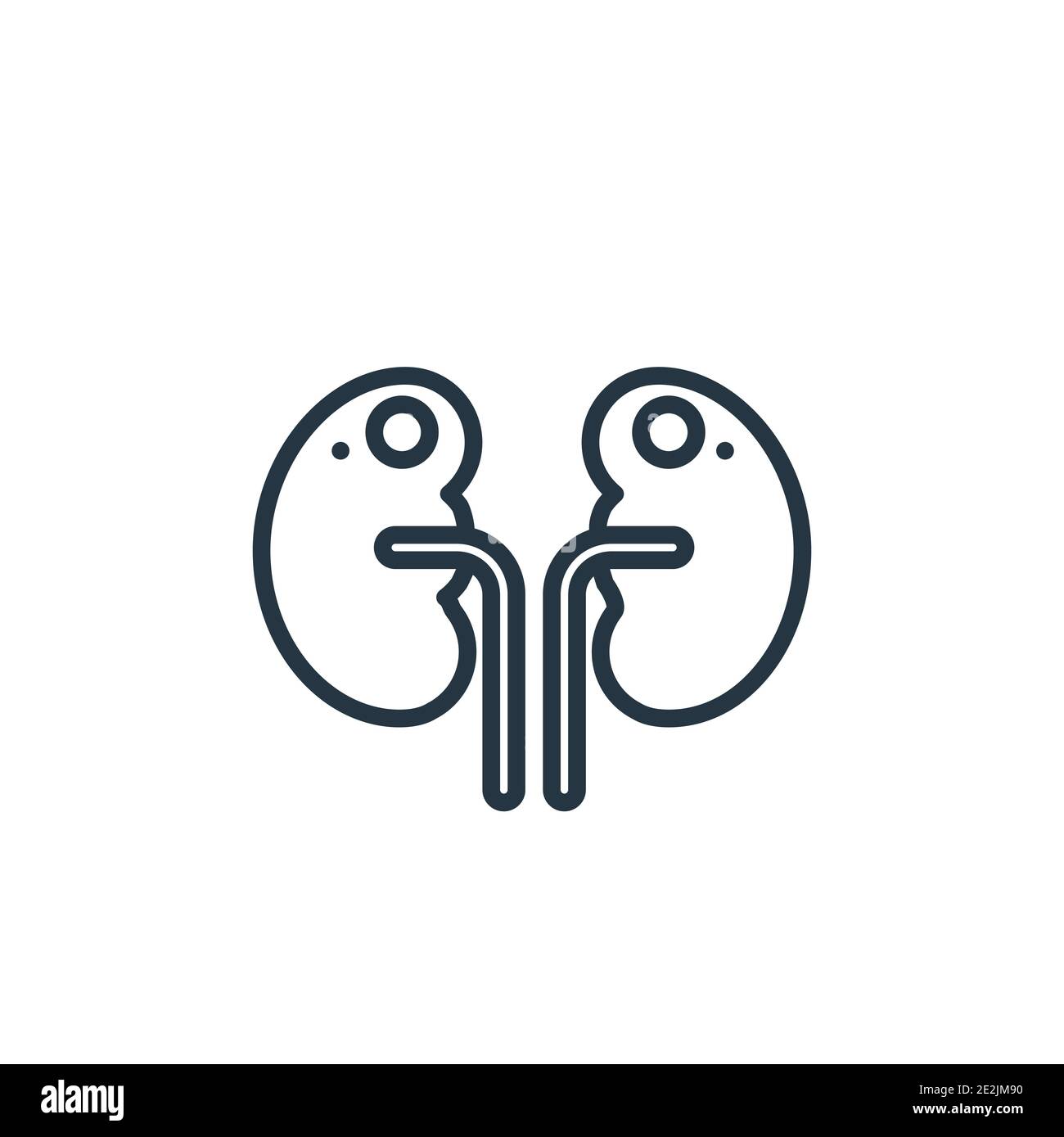 Kidneys outline hi-res stock photography and images - Alamy