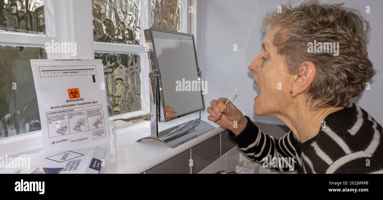 England, UK. 2021. Elderly woman using a swab from the Coronavirus Home ...