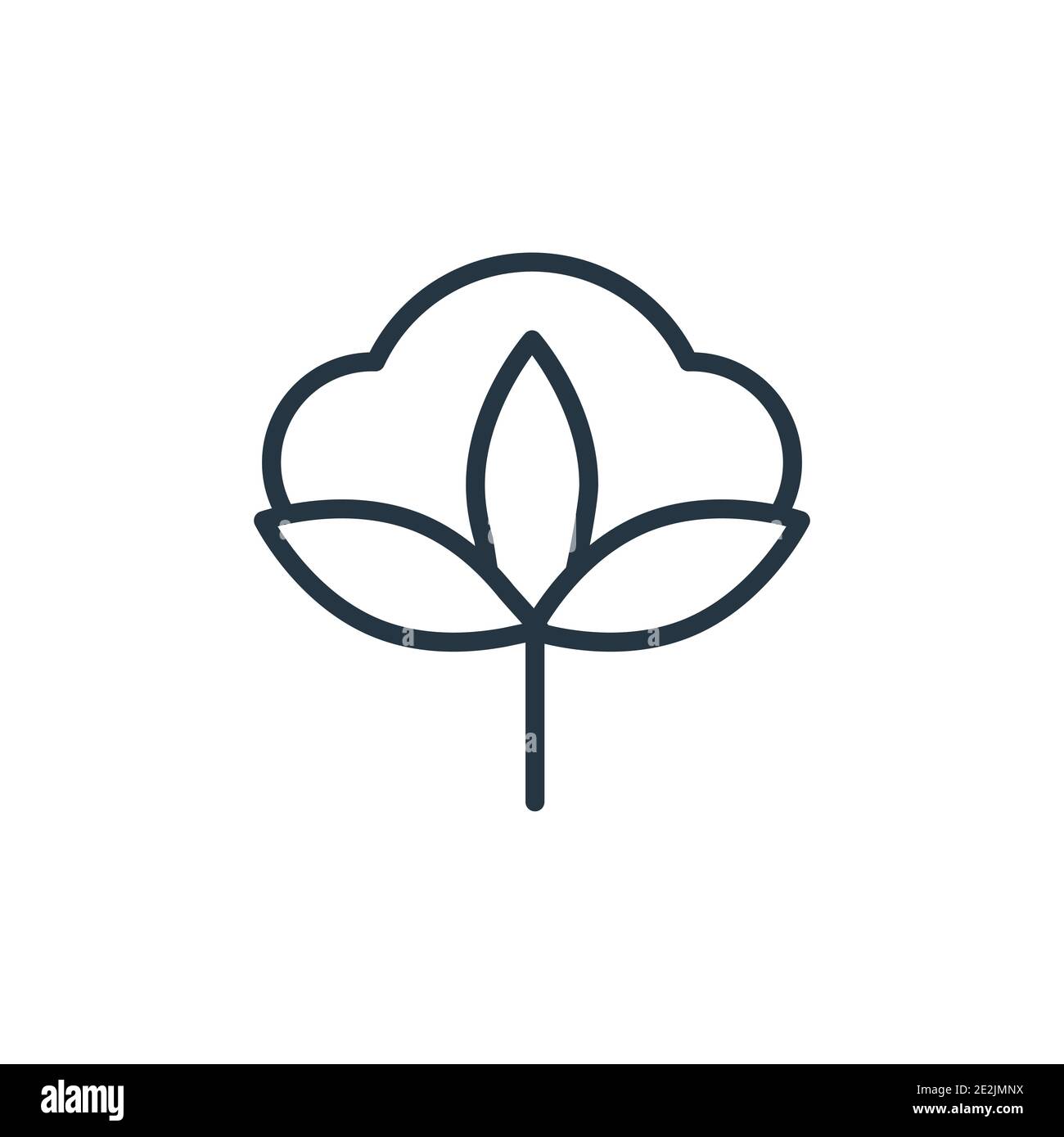 Cotton outline vector icon. Thin line black cotton icon, flat vector ...