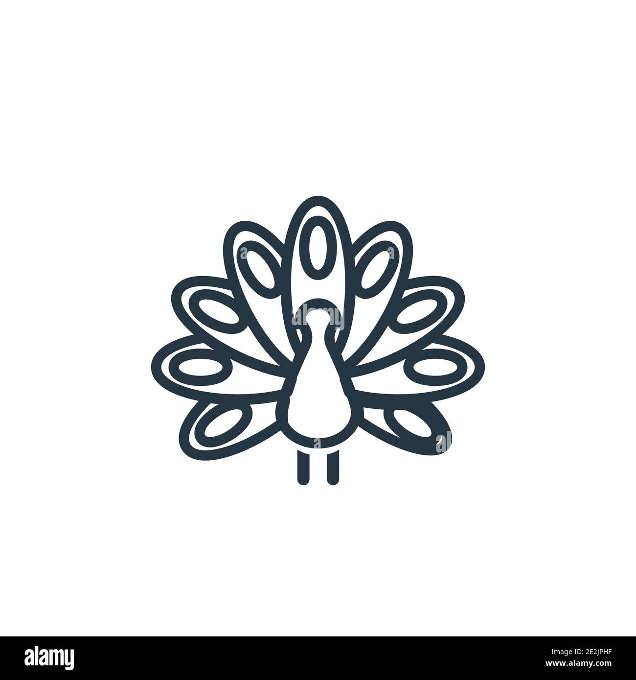 Peacock Icon