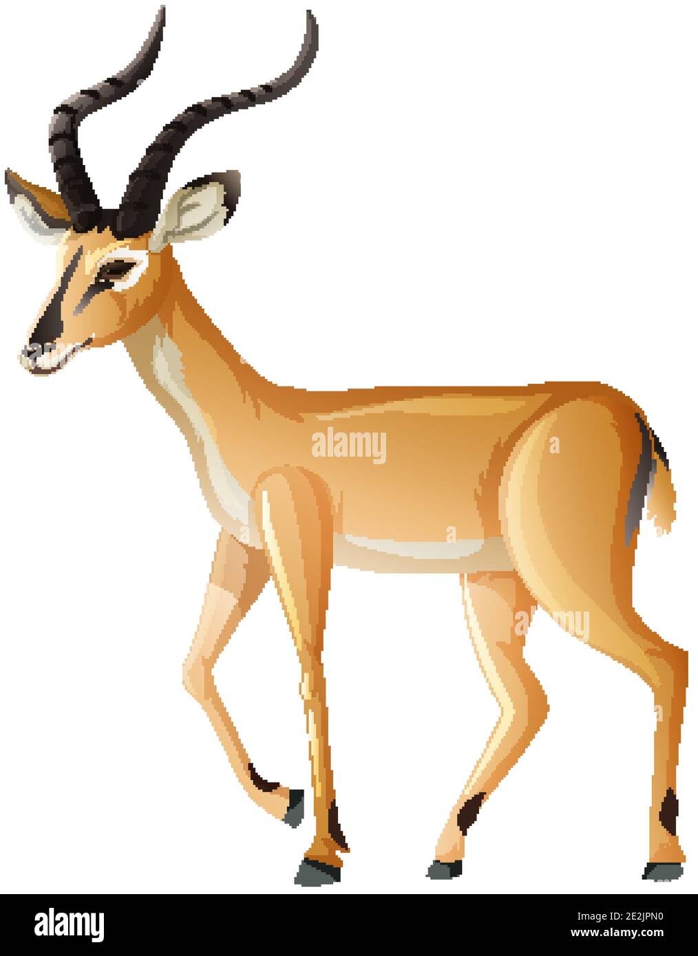 Impala animal on white background illustration Stock Vector Image & Art ...