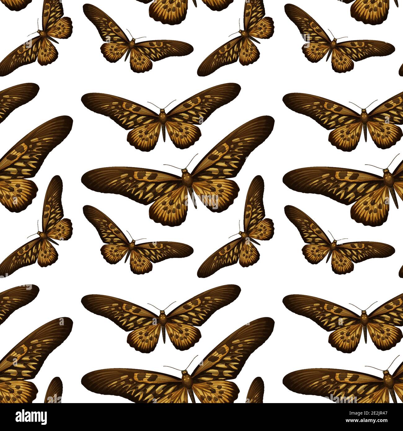 Butterfly seamless background pattern illustration Stock Vector Image ...