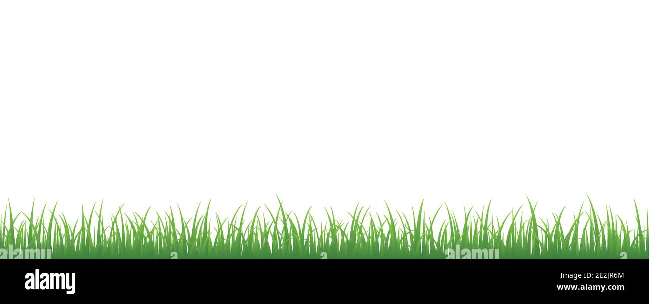green meadow on white background with copy space vector illustration ... green meadow on white background with copy space vector illustration ...