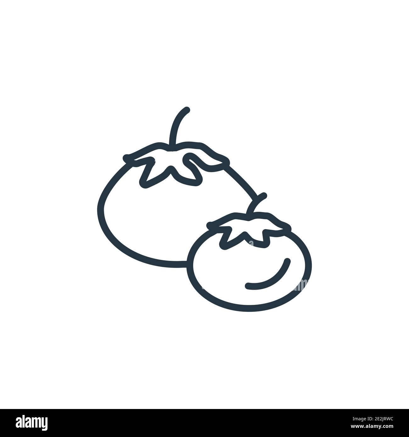 Tomato outline vector icon. Thin line black tomato icon, flat vector ...