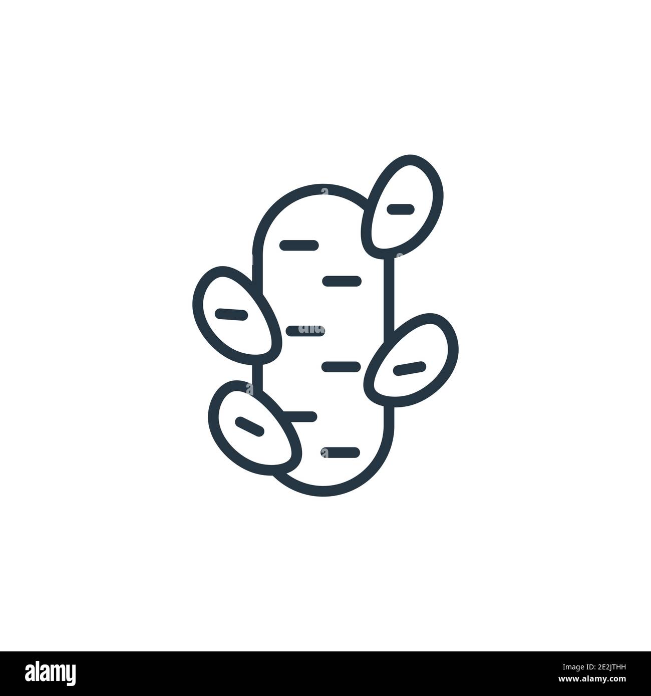 Ginger outline vector icon. Thin line black ginger icon, flat vector ...