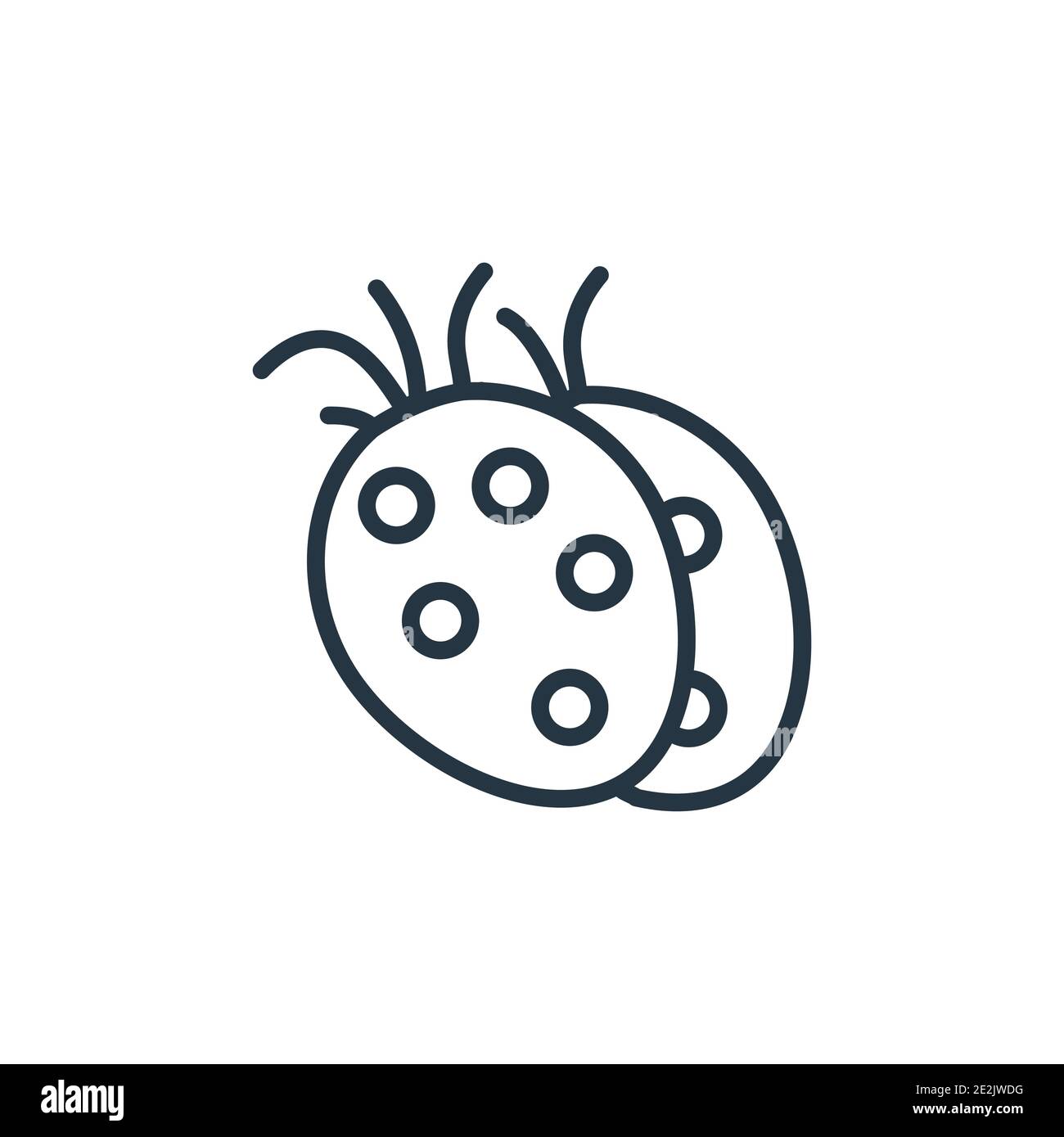 Tuber outline vector icon. Thin line black tuber icon, flat vector ...