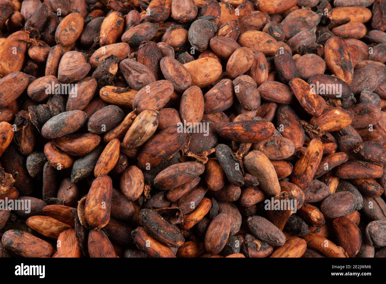 Texture of aromatic raw cocoa beans stacked top view Stock Photo - Alamy