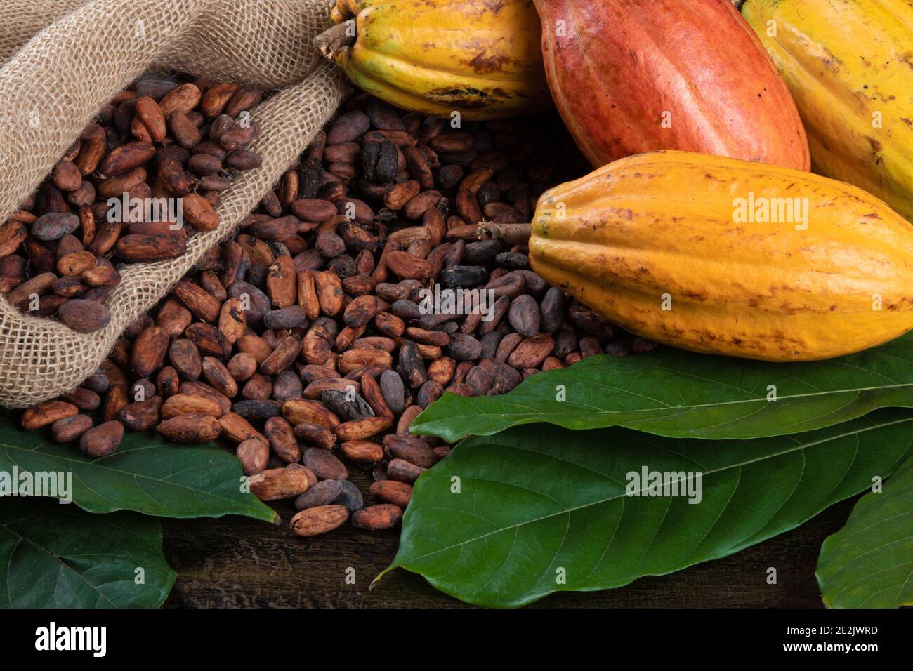 Cocoa region hi-res stock photography and images - Alamy