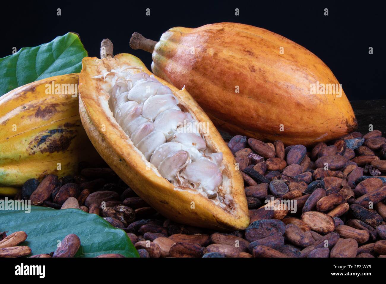 Cacao pod detail hi-res stock photography and images - Alamy