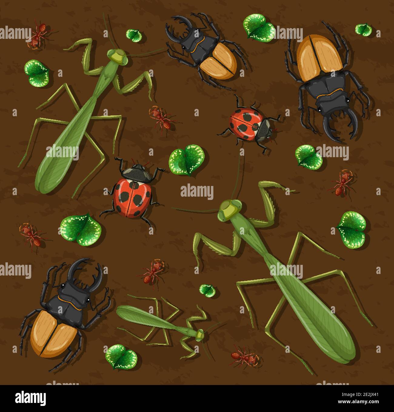 Set of different insects on wooden wallpaper background illustration ...