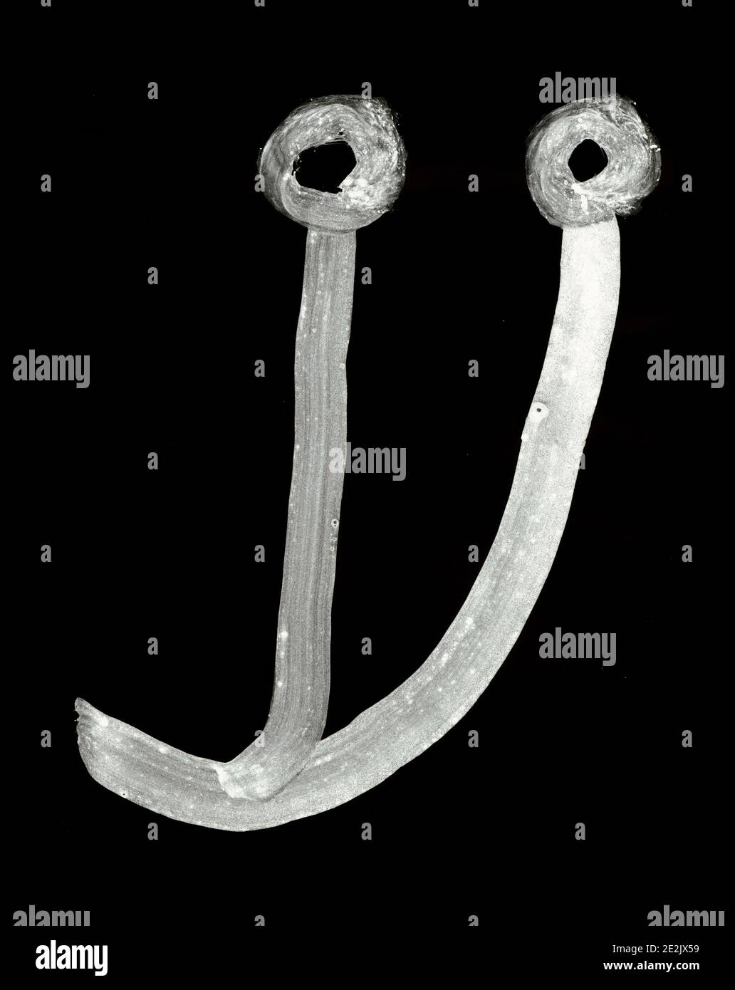 Heinrich Cornelius Agrippa Of Occult Philosophy 1651 Malachim Alphabet ...