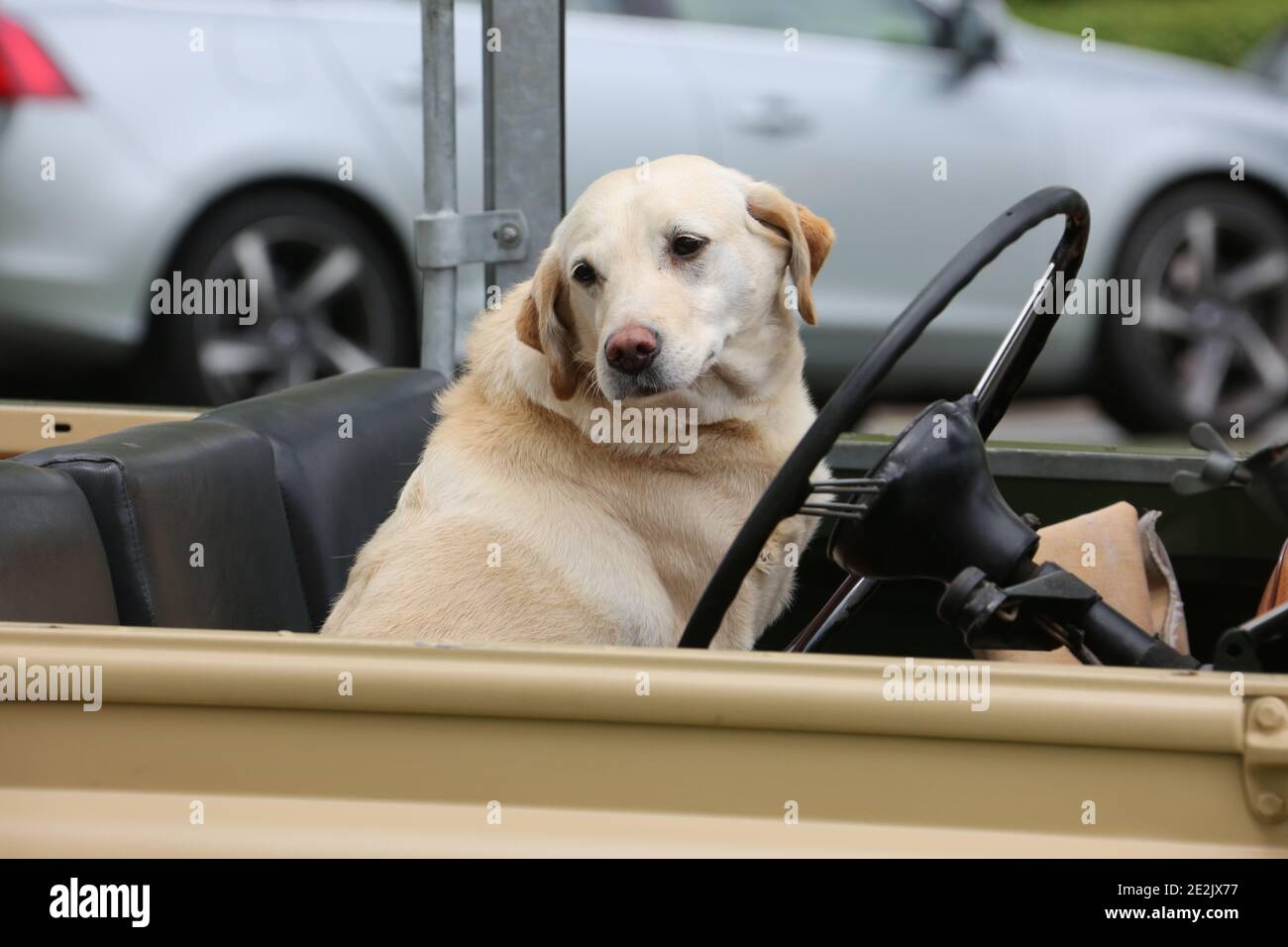 Maybole, Ayrshire, Scotland, UK. 10 Jun 2017. The annual gala day ...