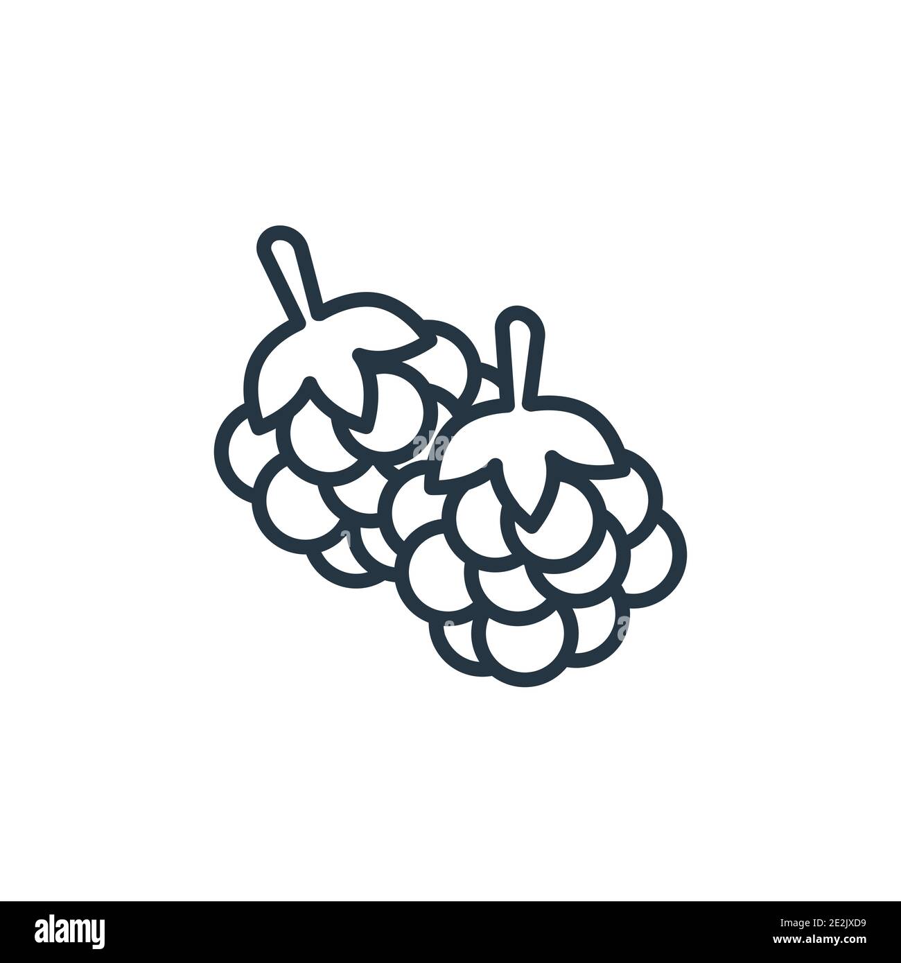 Blackberries Outline