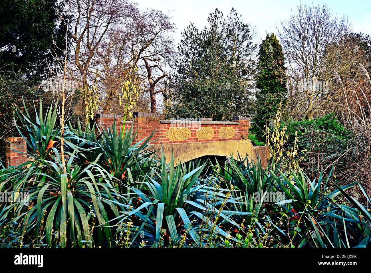 Bridge over pond Stock Photo - Alamy